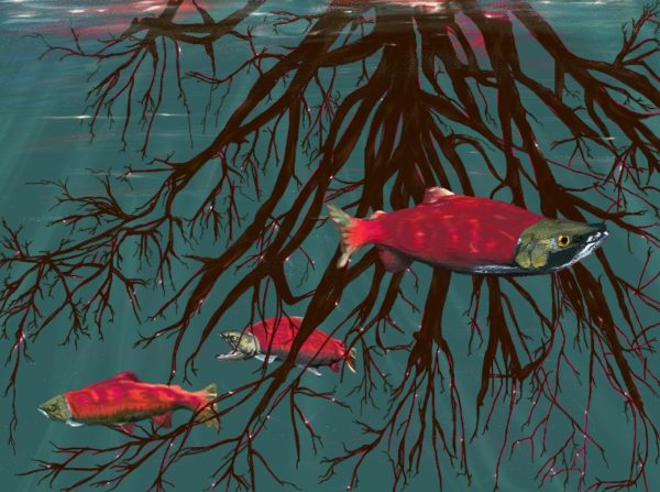 UPCOMING ACTIONS IN SOLIDARITY WITH SECWEPEMC LAND DEFENDERS – Climate ...